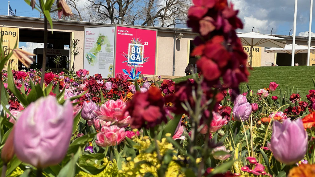 Buga Mannheim 2023: Blütenpracht, Nachhaltigkeit und Herausforderungen bei Anreise und Sicherheit