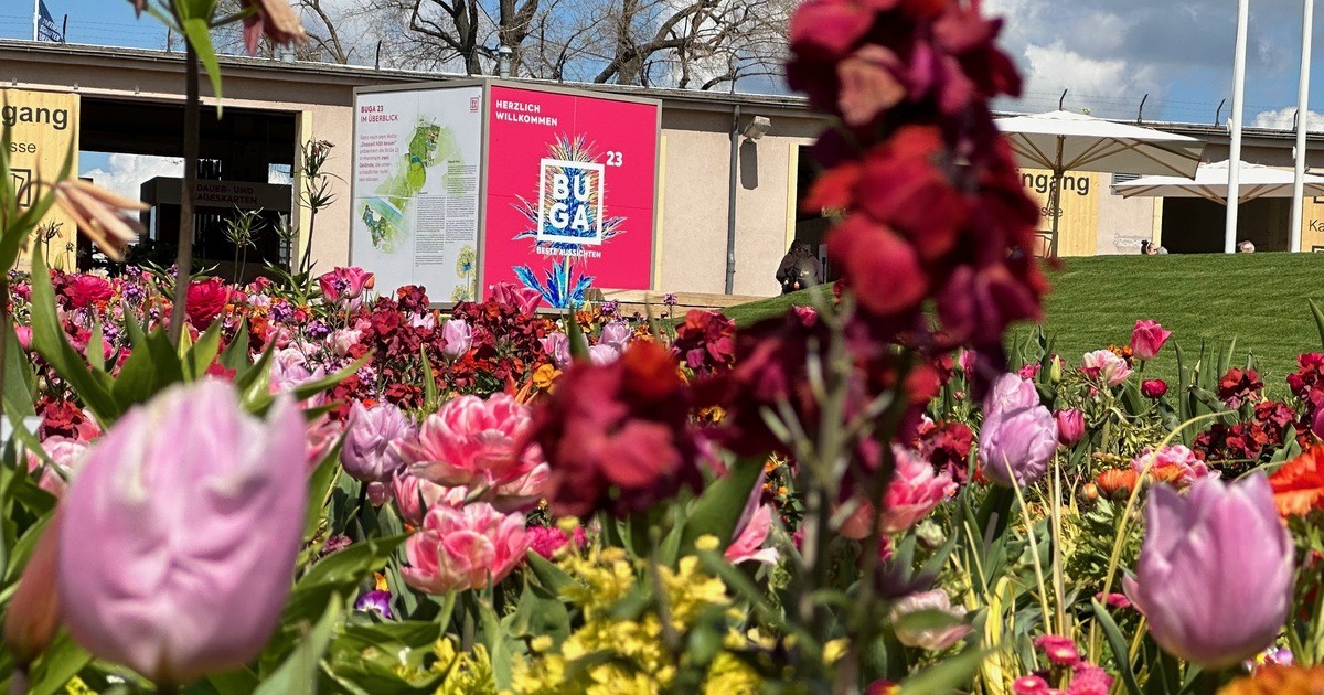 Buga Mannheim 2023: Blütenpracht, Nachhaltigkeit und Herausforderungen bei Anreise und Sicherheit