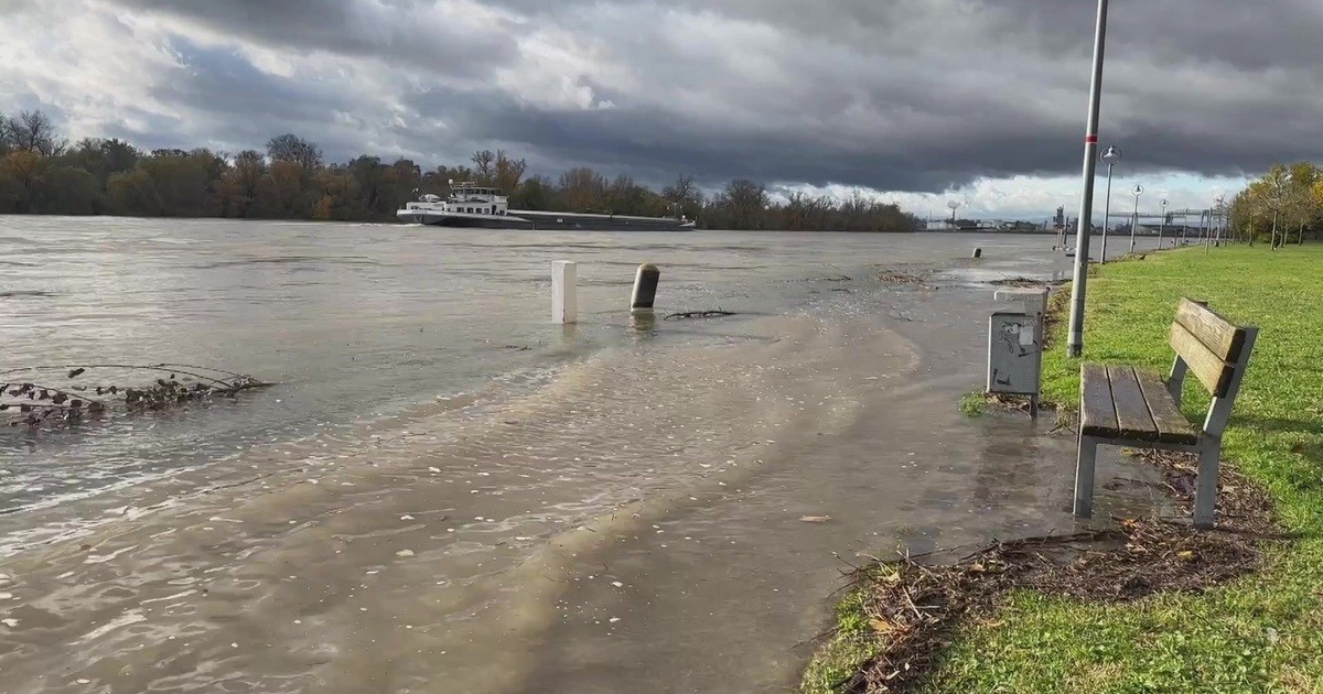 RNF-Gebiet: Nasser November sorgt für Hochwasser – Pegel von Neckar und Rhein sinken wieder | RNF.de